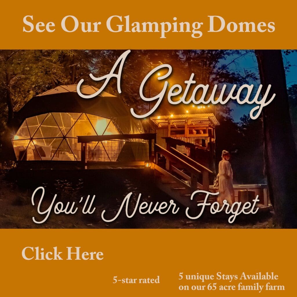 Romantic Getaway Ideas ~ WV Glamping Domes
